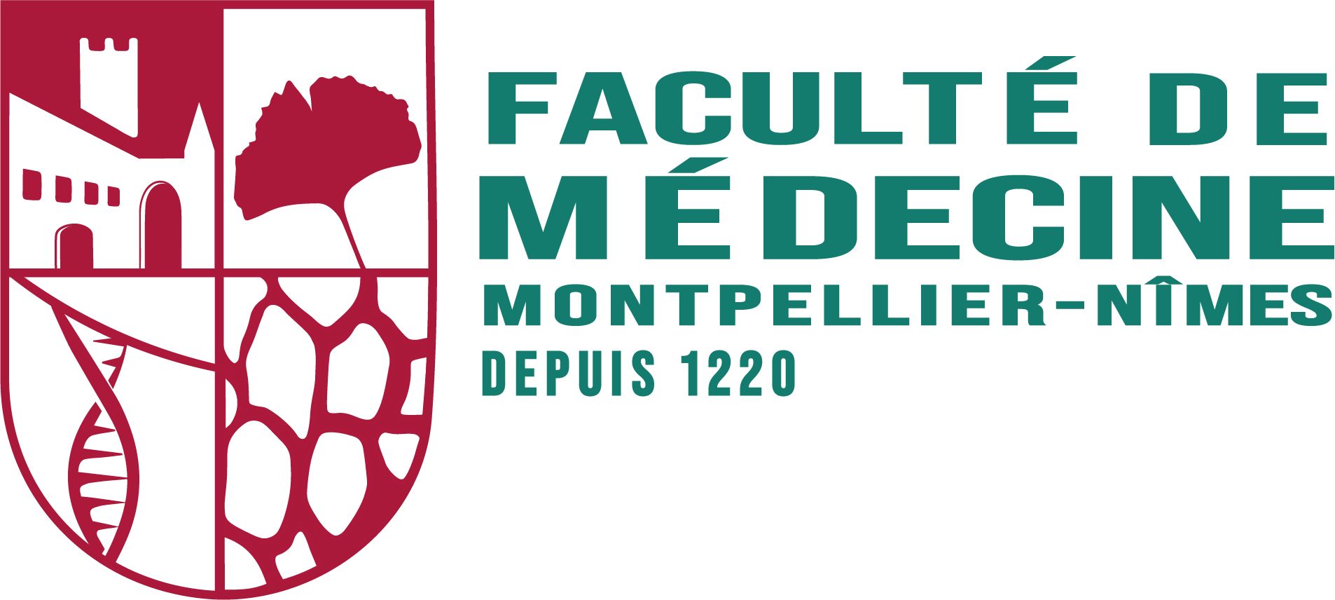 Thèse de médecine : Les parcours diagnostiques des femmes atteintes d ...